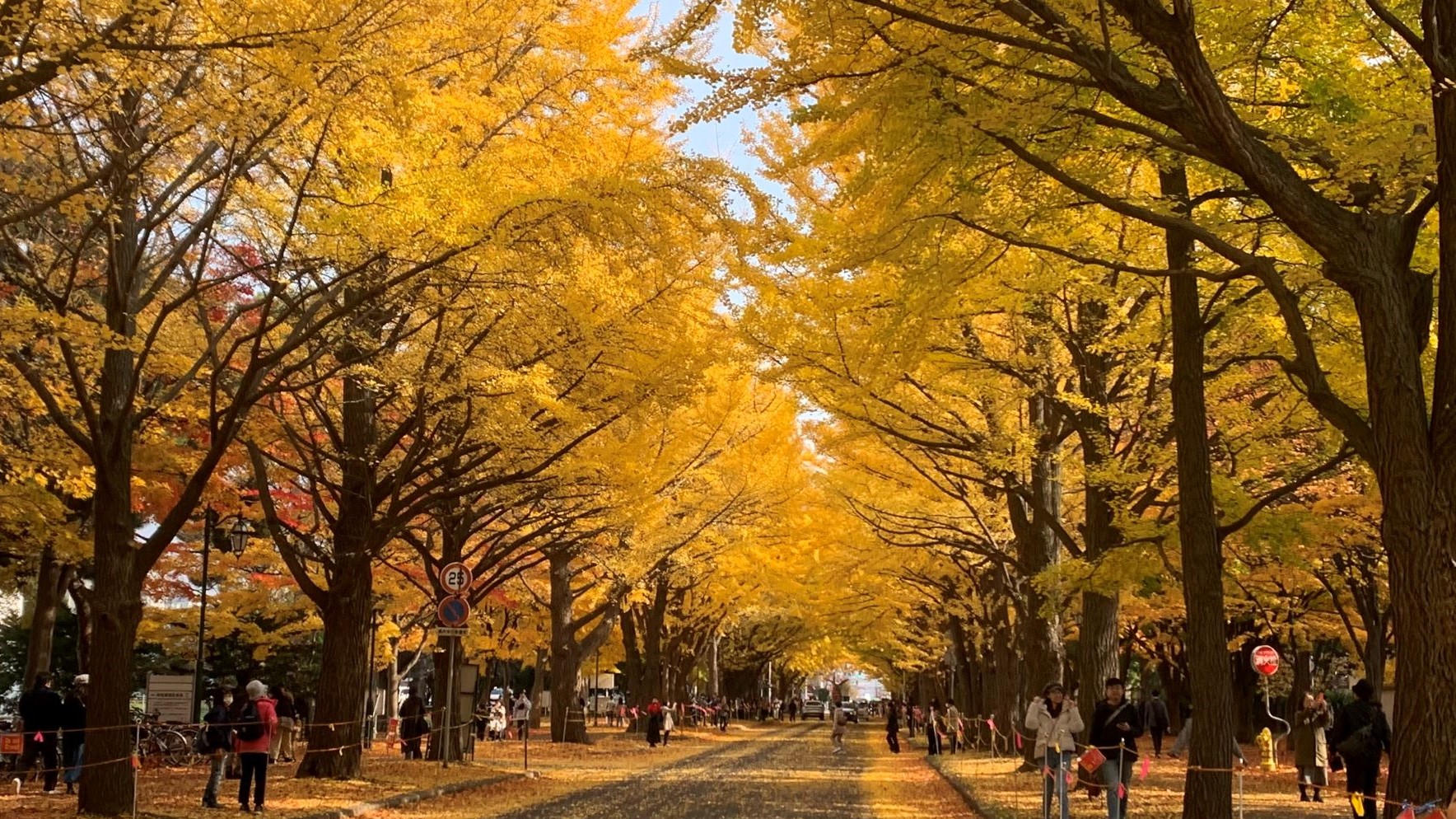 ご存知ですか？北大の博物館 | STV札幌テレビ WEB営業局 | 広告会社のみなさまへ