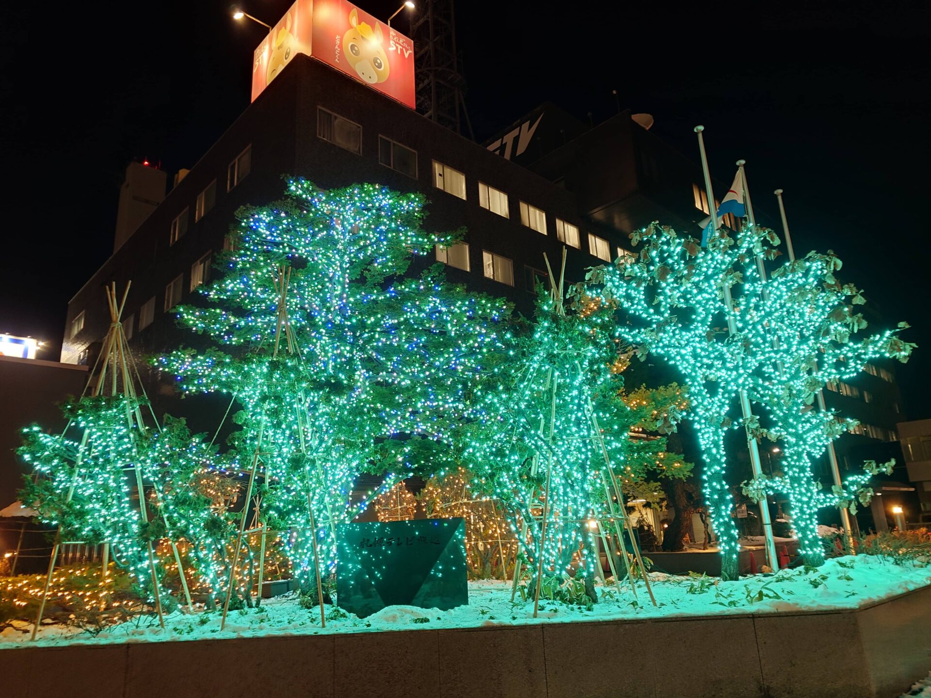 STVにも冬の彩りが！ | STV札幌テレビ WEB営業局 | 広告会社のみなさまへ